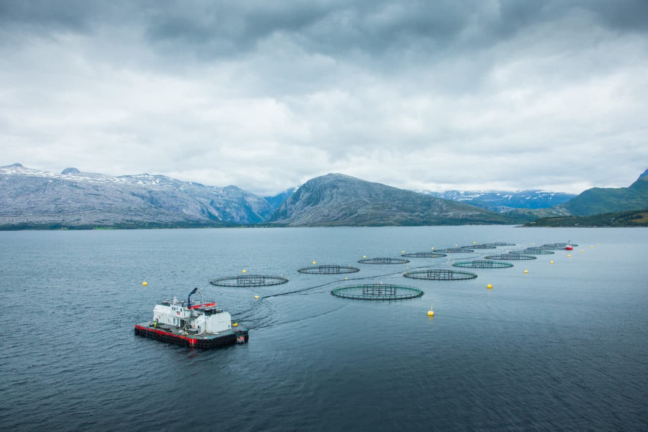 Hjem - Nova Sea