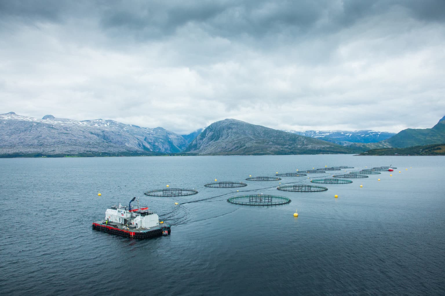 Hjem - Nova Sea