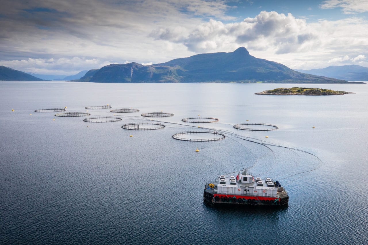 Miljø, bærekraft og samfunn - Nova Sea