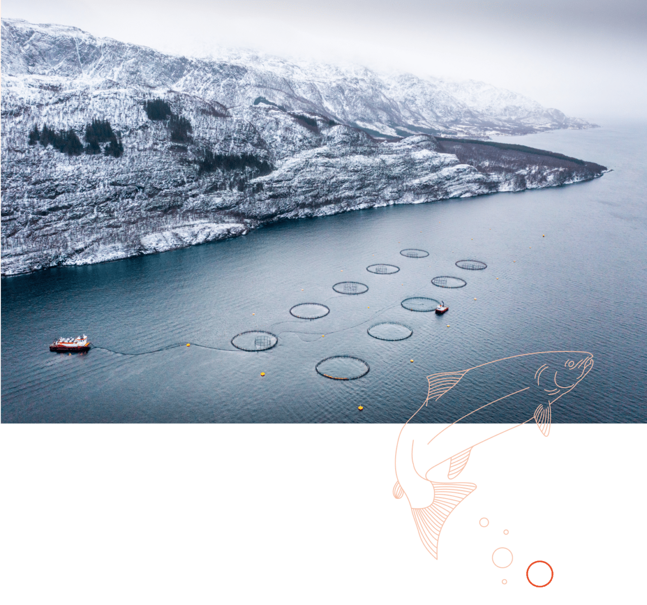 Hjem - Nova Sea