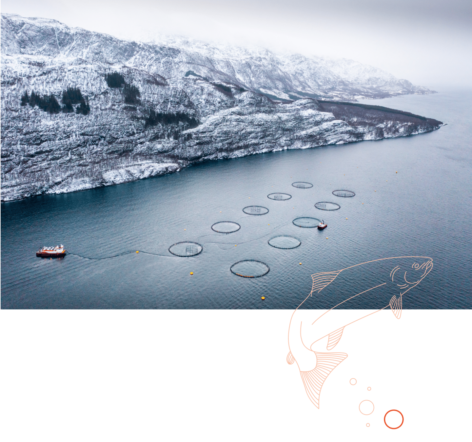 Hjem - Nova Sea